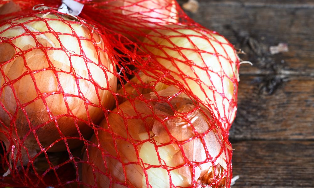 5 Ways To Prevent Insect Damage on Your Onion Crop