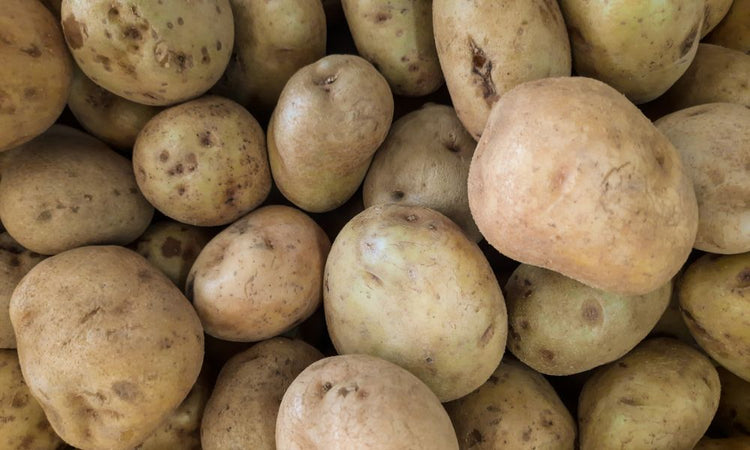 What To Do With Excess Vegetables From Your Garden