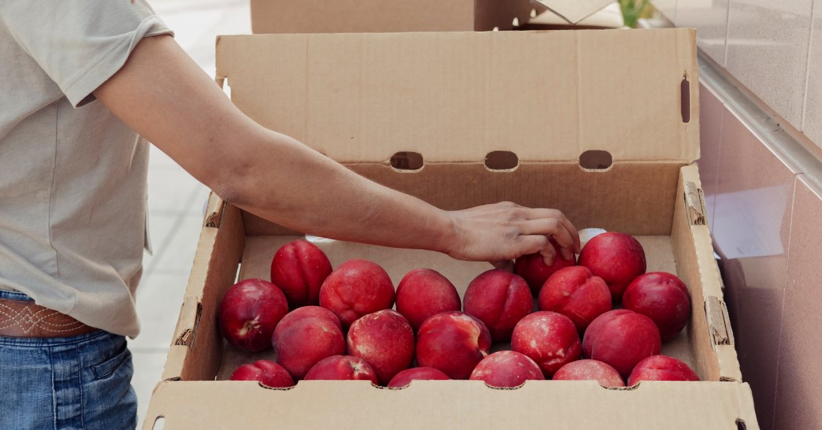 4 Ways To Use Partition Separators in Produce Packaging