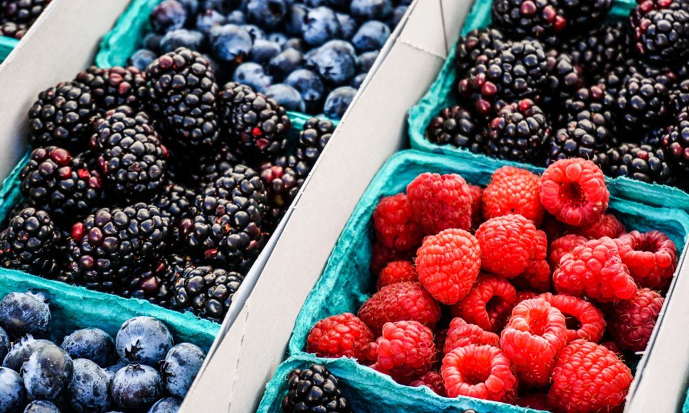 5 Useful Ways To Upcycle Plastic Berry Baskets