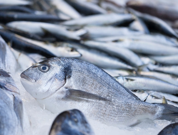 Fish Packaging Bags – Paper Seafood Bags | Globe Bag